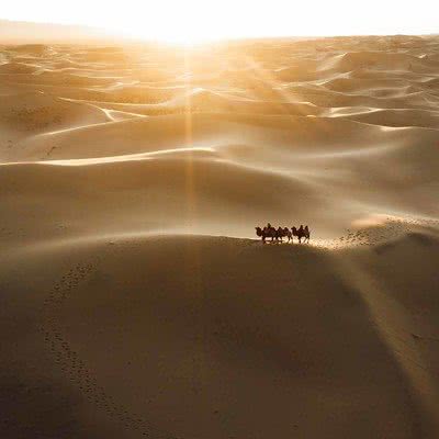 Camel Route - Follow The Tracks